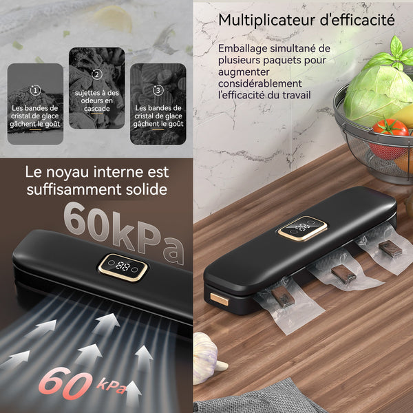 Machine sous vide 120W 60Kpa avec 10 sacs sous vide puissante conserva ...
